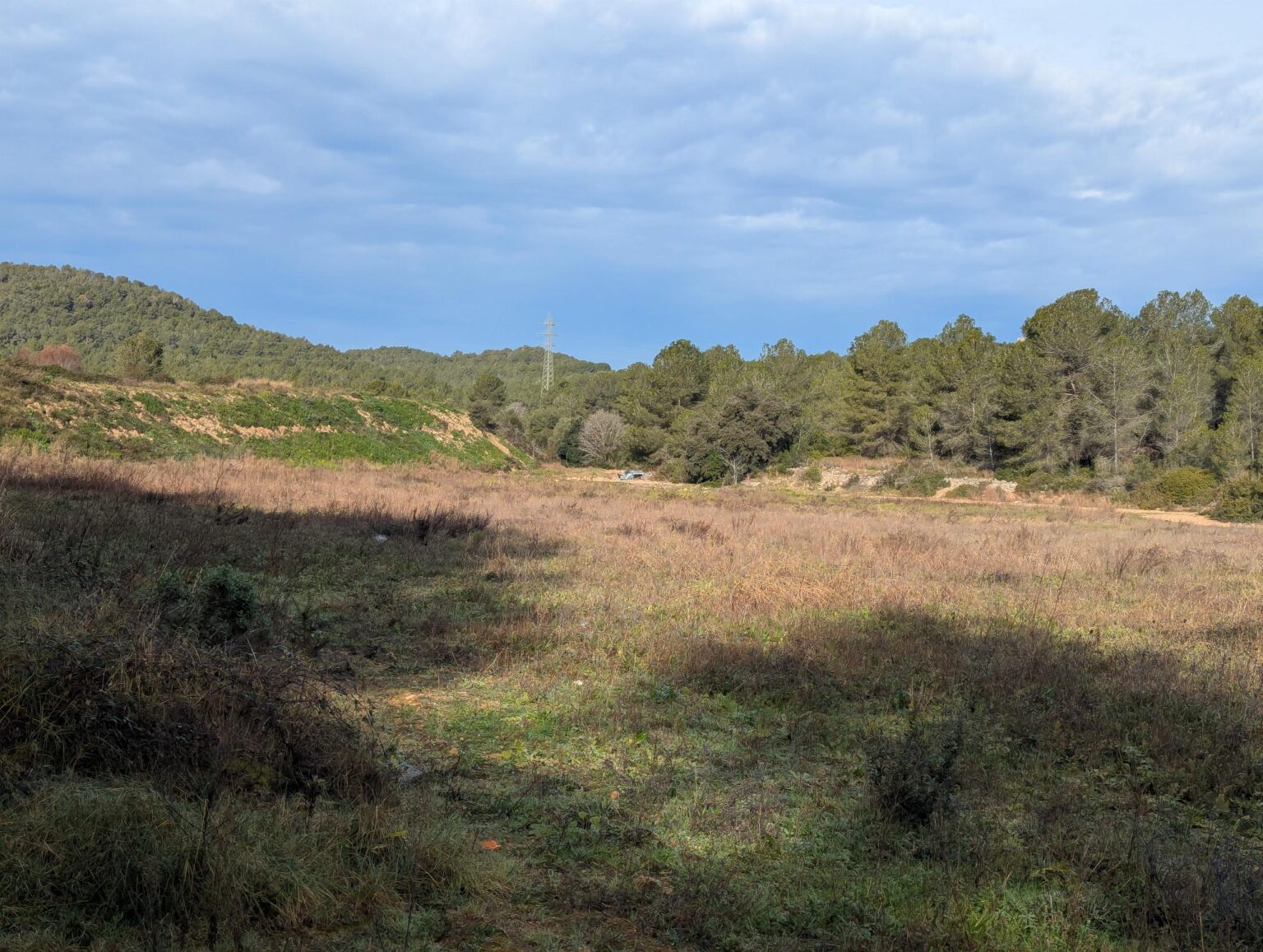 Renuncien a fer un complex esportiu a l'Anella Verda